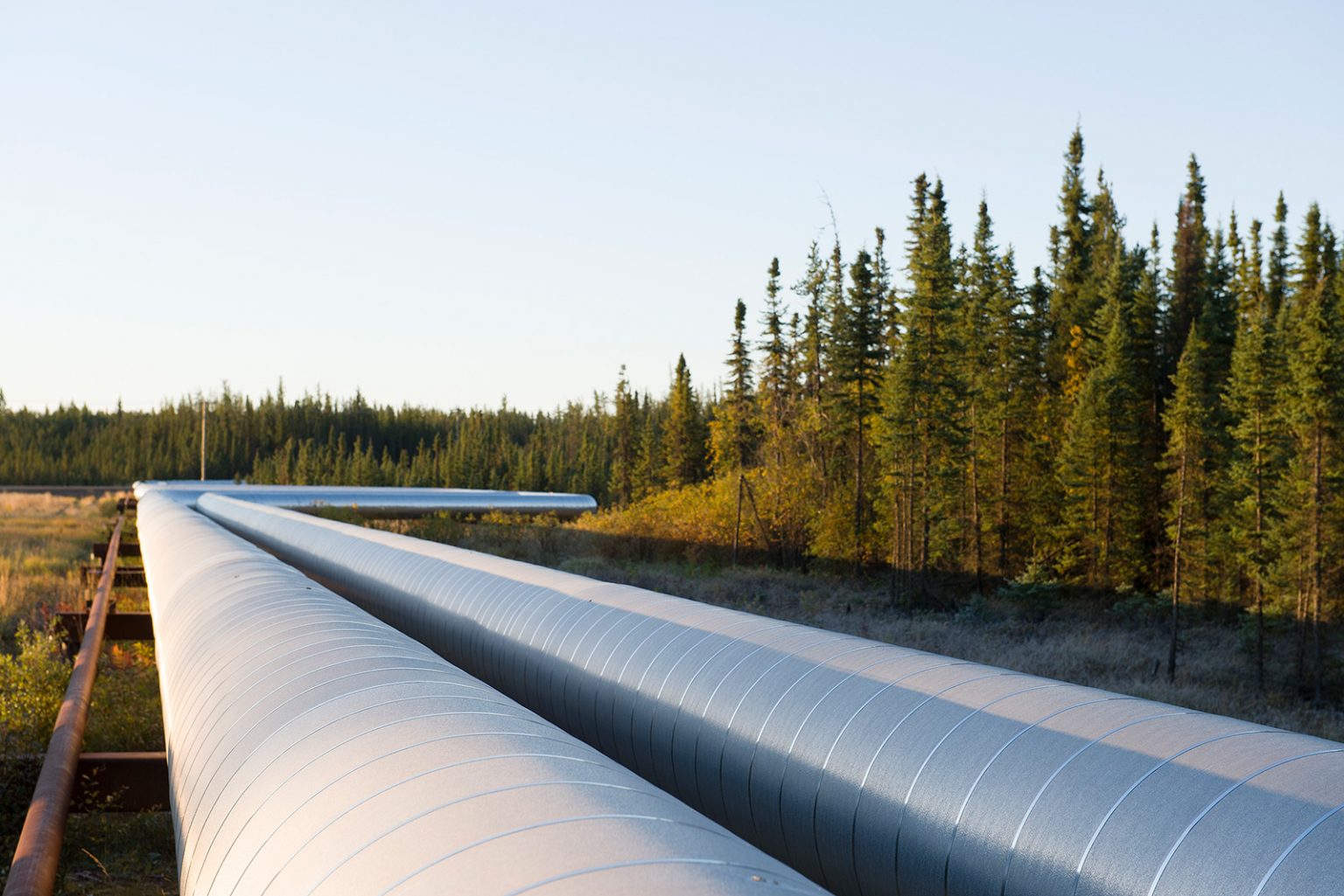 Our History - MEG Energy